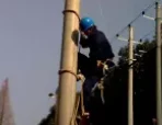 登高板考试全过程