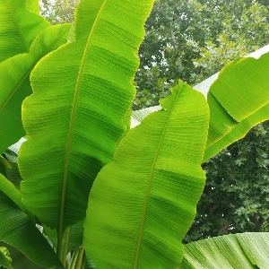 林潮与书 