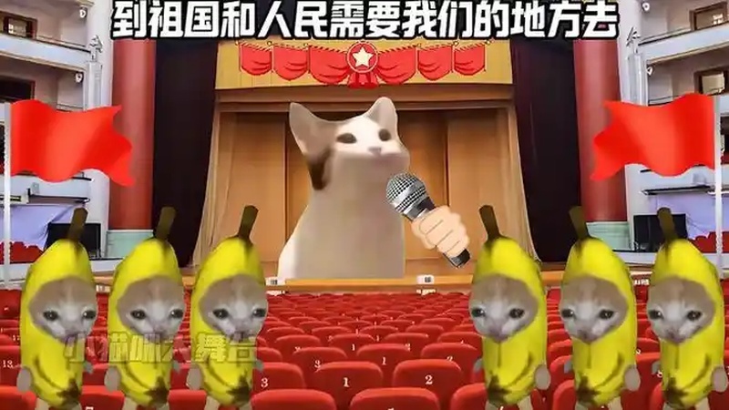 当你去参加大学生西部计划时