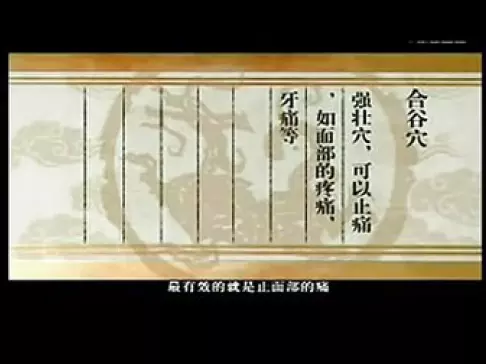 中里巴人 手阳明大肠经