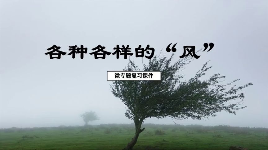《各种各样的风》微专题,ppt+导学案,把风讲透了!