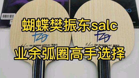 蝴蝶樊振东salc,业余中高级弧圈爱好者之选