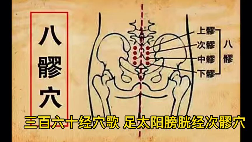 足太阳膀胱经次髎穴歌诀及取穴法