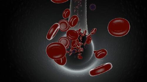 血型寿命排行榜出炉!B型平均78岁竟只排第二,冠军是它