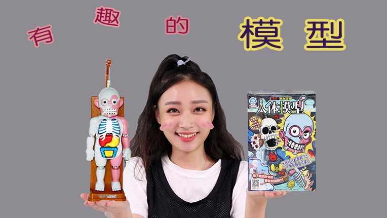 小小人体大大奥秘,人体模型玩具原来可以这样玩!