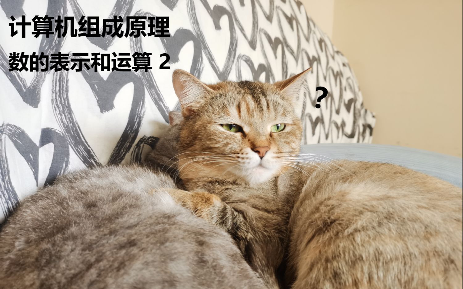 计算机组成原理 原码乘法