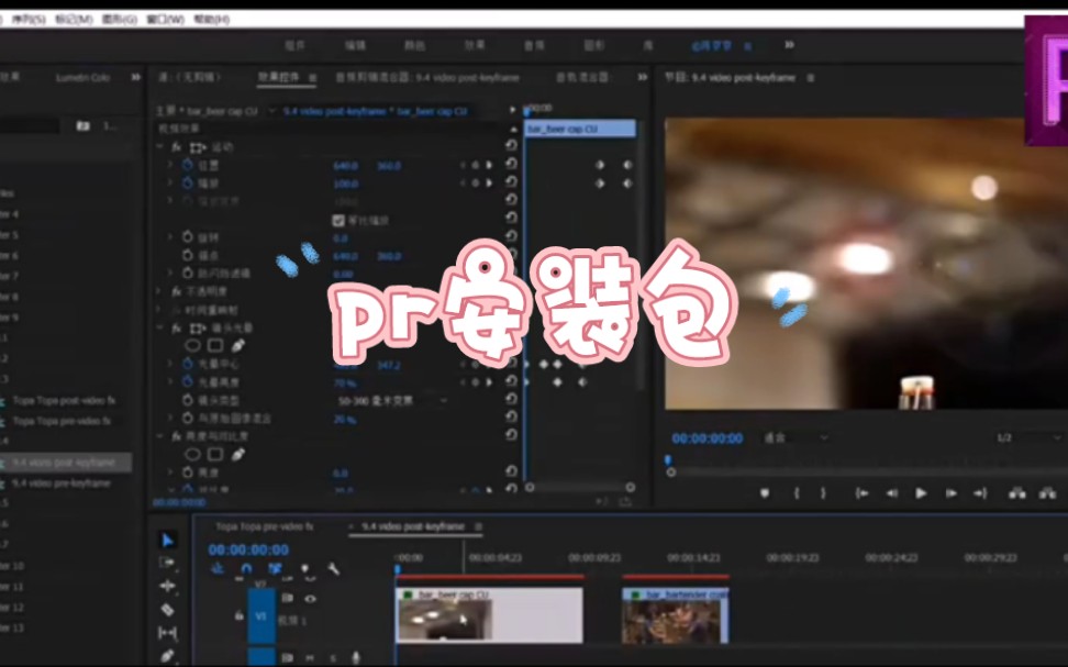 还在苦苦寻找pr安装包吗?