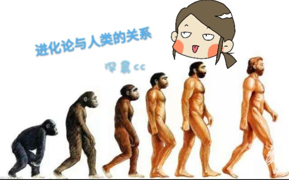 进化论与人类的关系