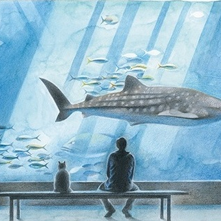 这里的海清而浅 