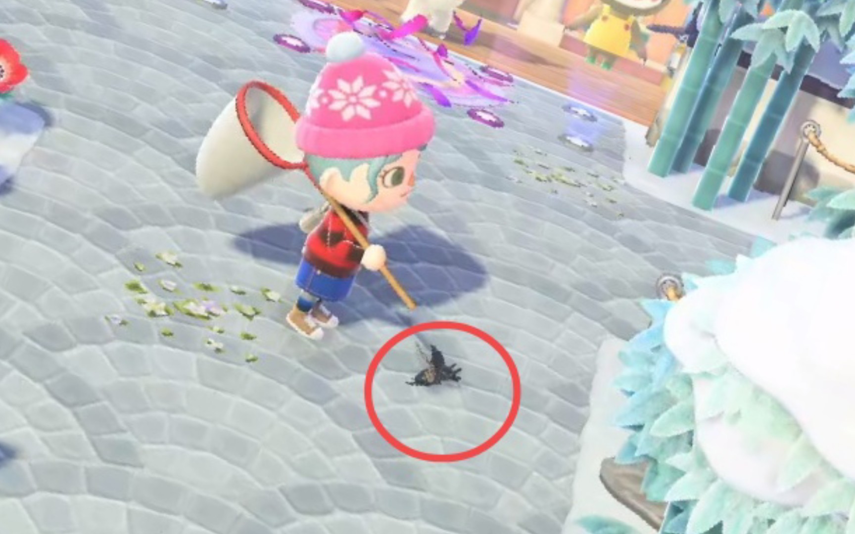 【switch 动森】新物种?蜣螂奇行种?