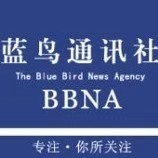 蓝鸟BBNA 