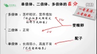 单倍体、二倍体、多倍体的区分