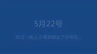 我的小植物成长过程