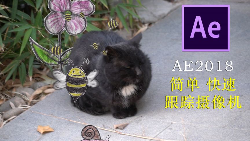 AE2018简单快速跟踪摄像机教程,不啰嗦直接开始