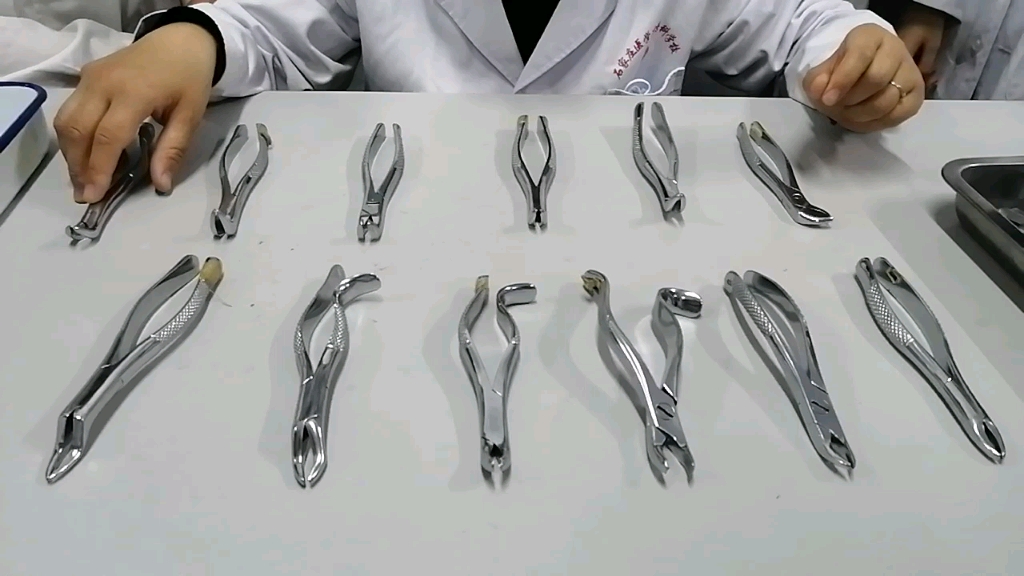 口外:牙槽外科器械识别