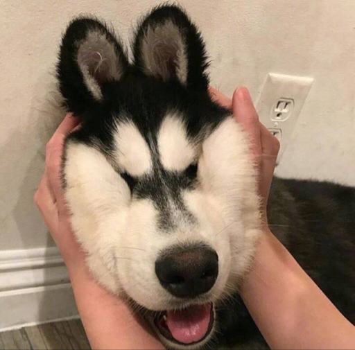 李萧萧o_o 