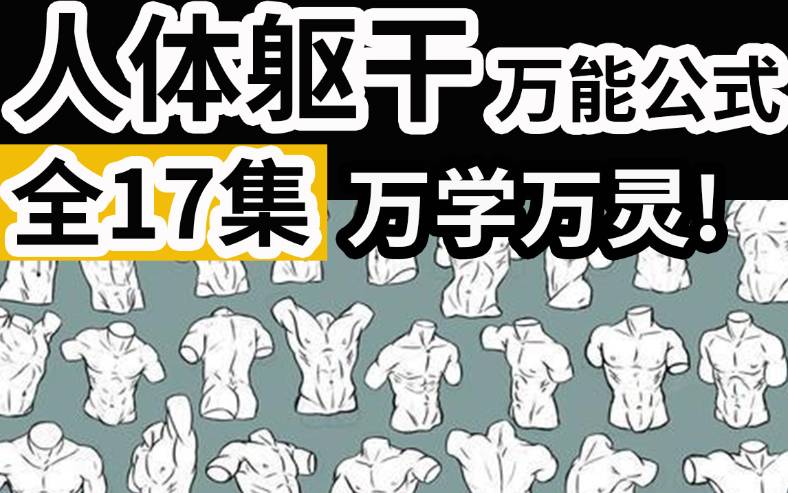 ...人体躯干画法 终于被我扒到了!萌新入门赶紧收好!【绘画基础教程|板...