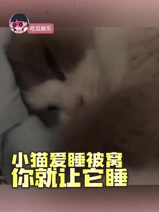 不是吧这么丝滑?#猫咪