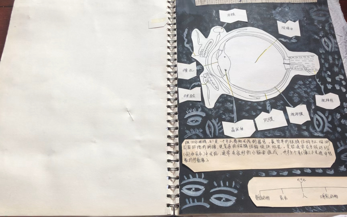 印花图案设计 面料设计 sketchbook纺织品设计