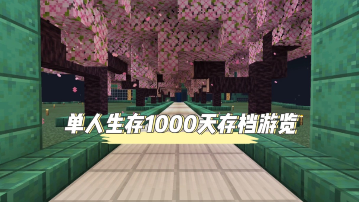【我的世界】单人养老生存1000天存档游览介绍_游戏热门视频