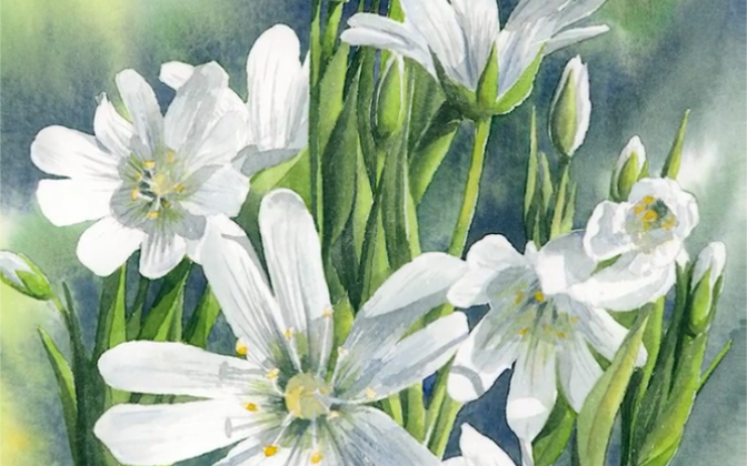 手把手教你画水彩画花