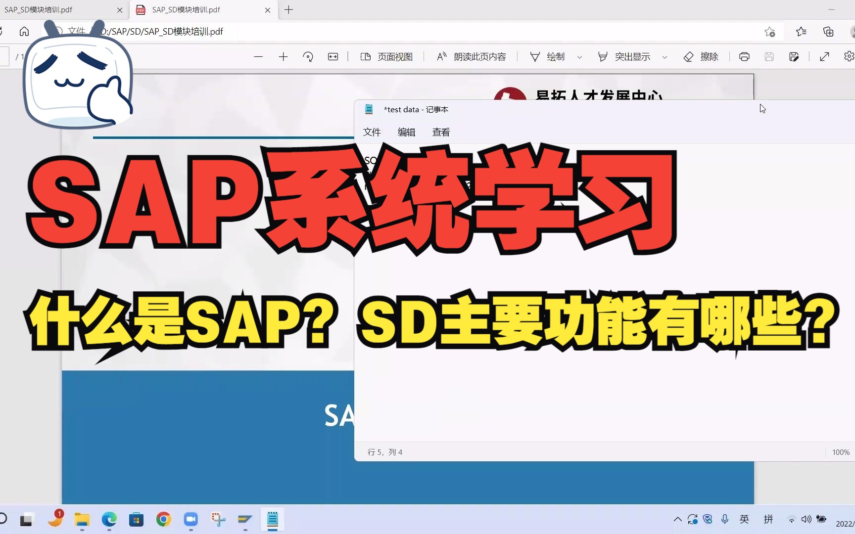 快速学习SAP系统 基本了解什么是SAP? 什么是ERP? SD主要功能有...