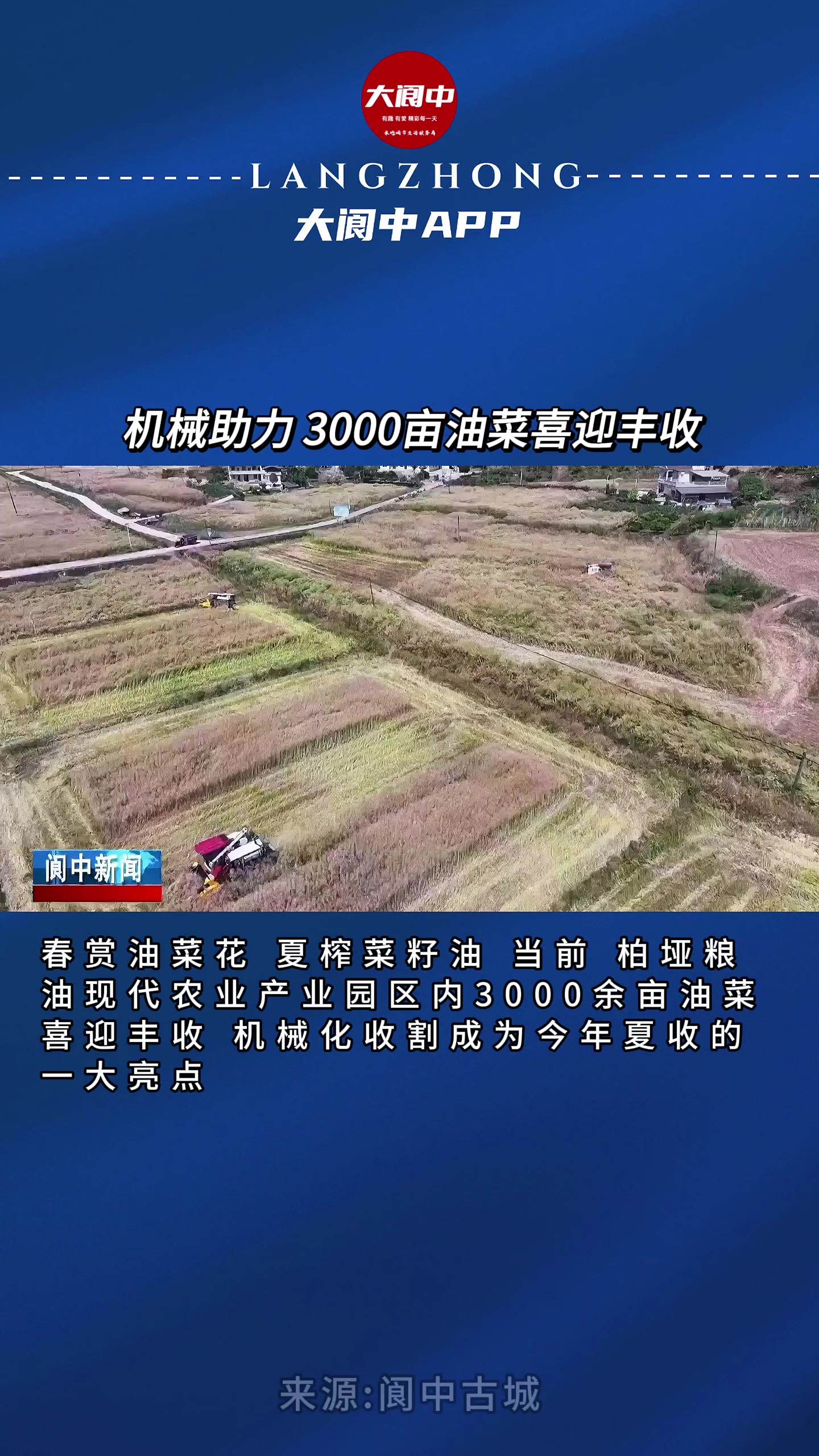 机械助力 3000亩油菜喜迎丰收 #阆中 #大阆中 #农业机械