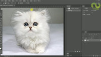 PS学习课堂:一起来学习ps调整边缘抠图