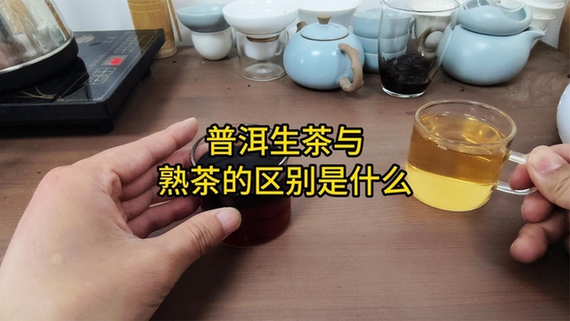 普洱生茶与熟茶的区别是什么?