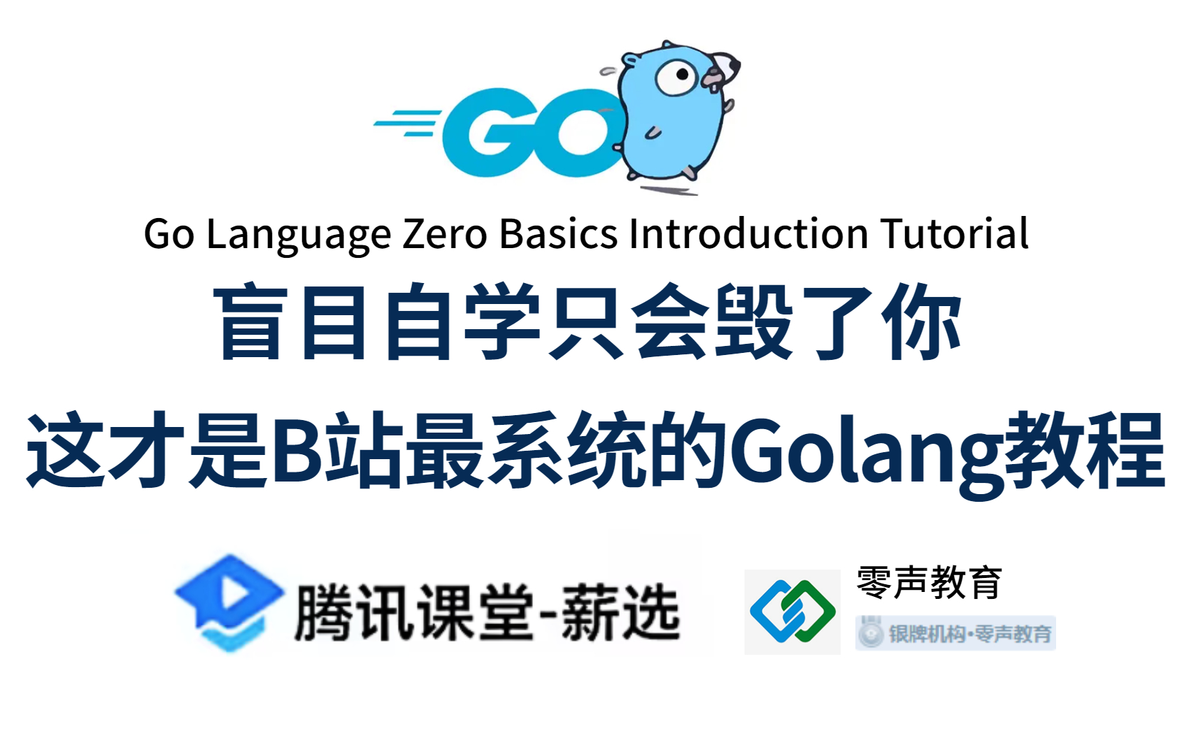 2023版Golang全栈教程,从零基础入门到Golang编程大佬!(go环境,go...