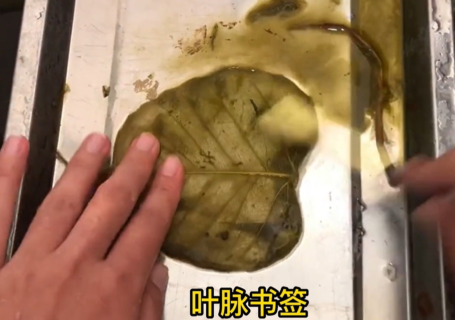 叶脉书签原来是这么做的,看到最后被惊艳到了