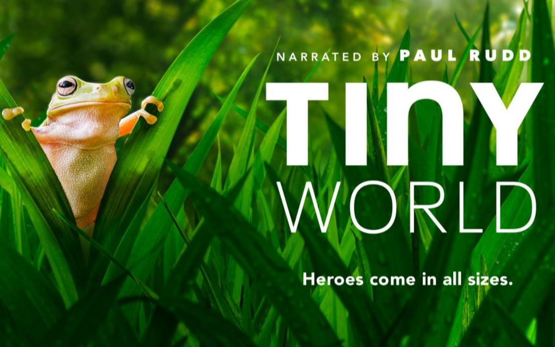 纪录片《小小世界》Tiny World(中英双语字幕)