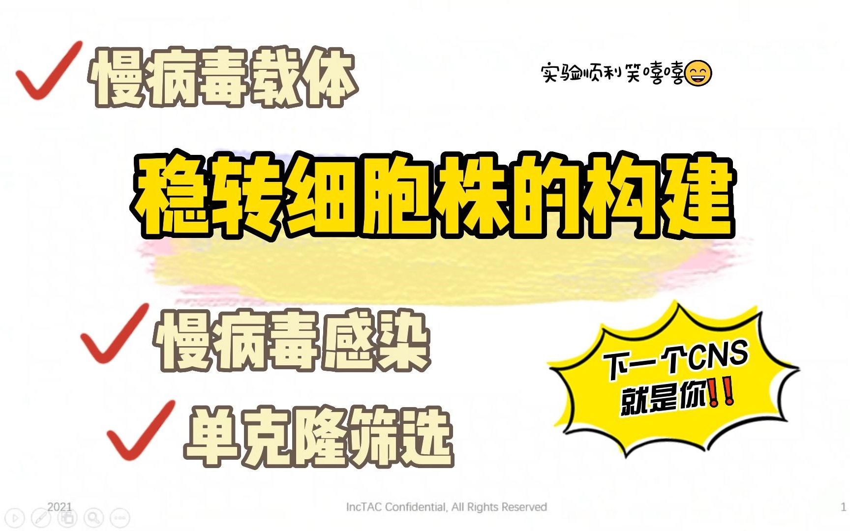 稳转细胞株的构建|慢病毒载体|三质粒系统|慢病毒转染|293T细胞|稳转...