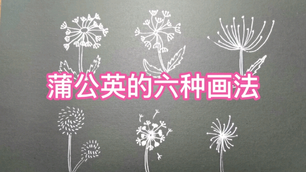 蒲公英的六种画法