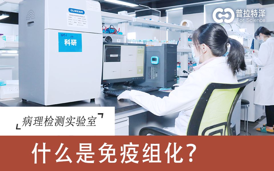 什么是免疫组化?有什么用?