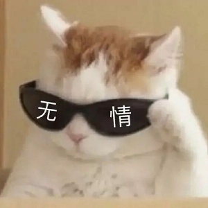 喵咪喵咪轰轰轰轰轰 