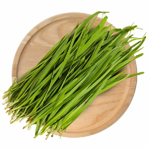 荷塘边的韭菜 
