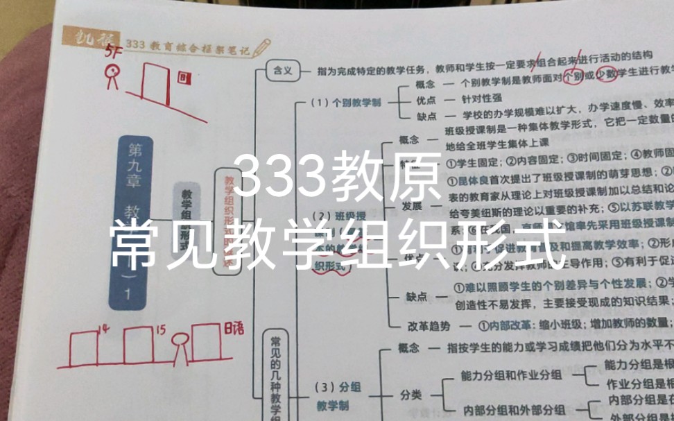 333常见教学组织形式
