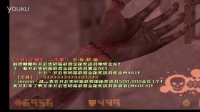 正规军丨灬贵族的素质 cs精英们都看看,我们伤不起.