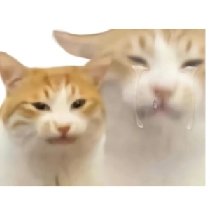河里猪_ 