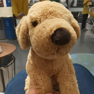 土豆庄园农场主 