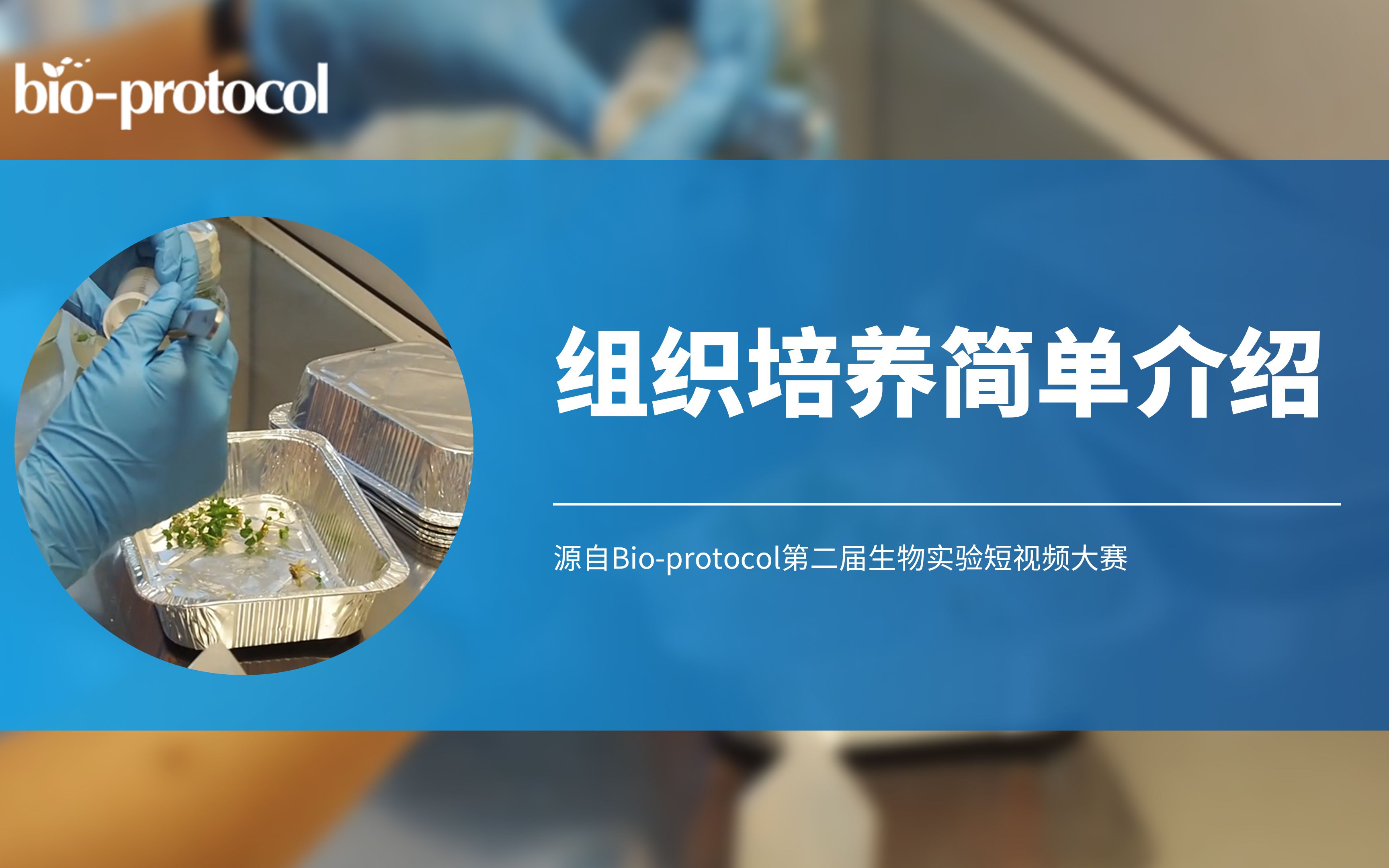 【短视频大赛】组织培养简单介绍