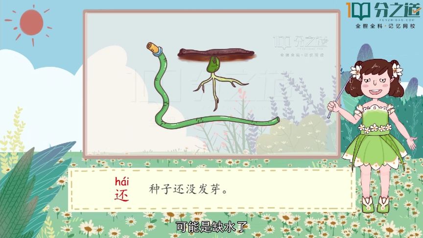 一年级语文——动物王国开大会