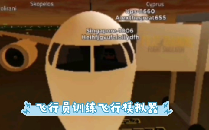 罗布乐思,飞行员训练飞行模拟器