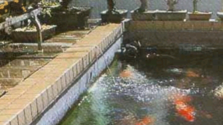 卡萨casa民宿园林设计鱼池生态活水系统: 锦鲤鱼池生化过滤槽设计...