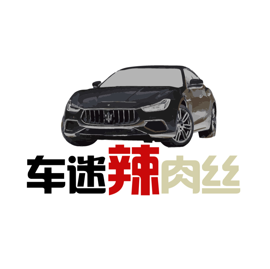 车迷辣肉丝 