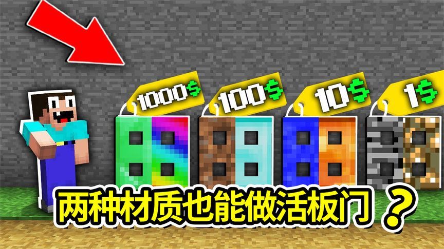 .世界:活板门还能用两种不同的材质制作