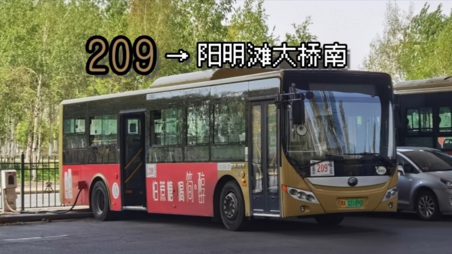 【逐渐没落的北环亲儿子】哈尔滨公交209路(阳光绿色家园小区→阳明...