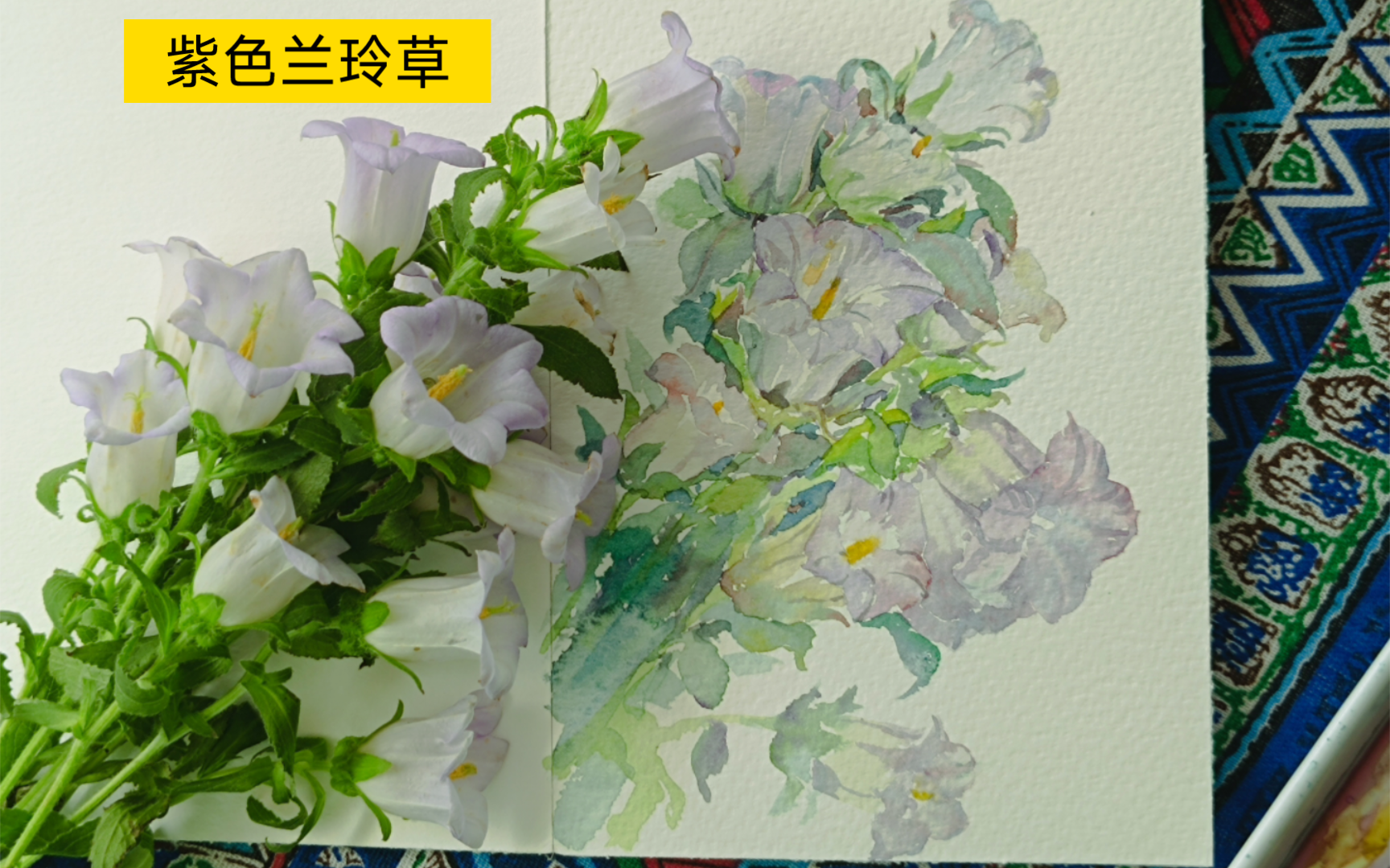 水彩紫色浪漫——蓝铃花的画法