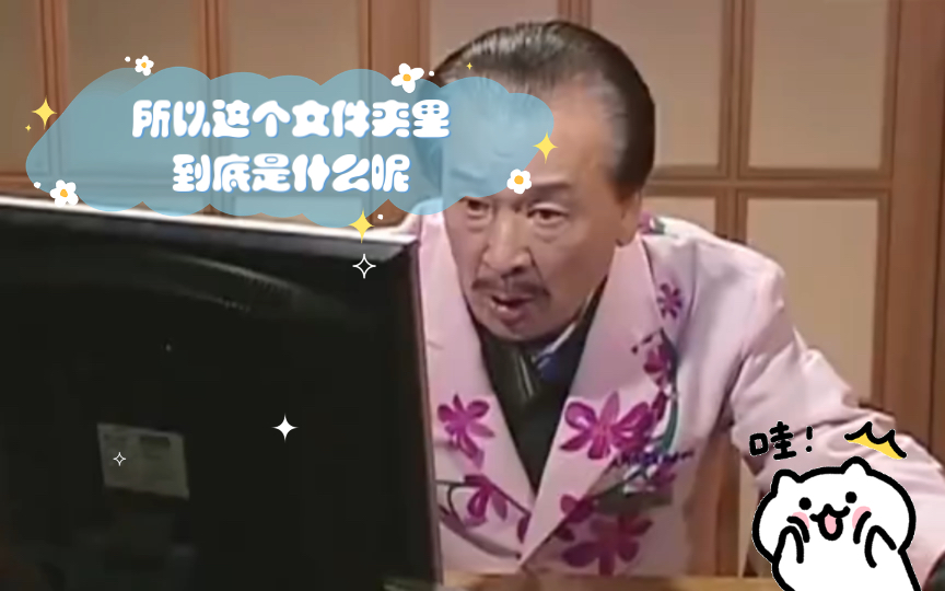 所以这个文件夹里到底是什么呢